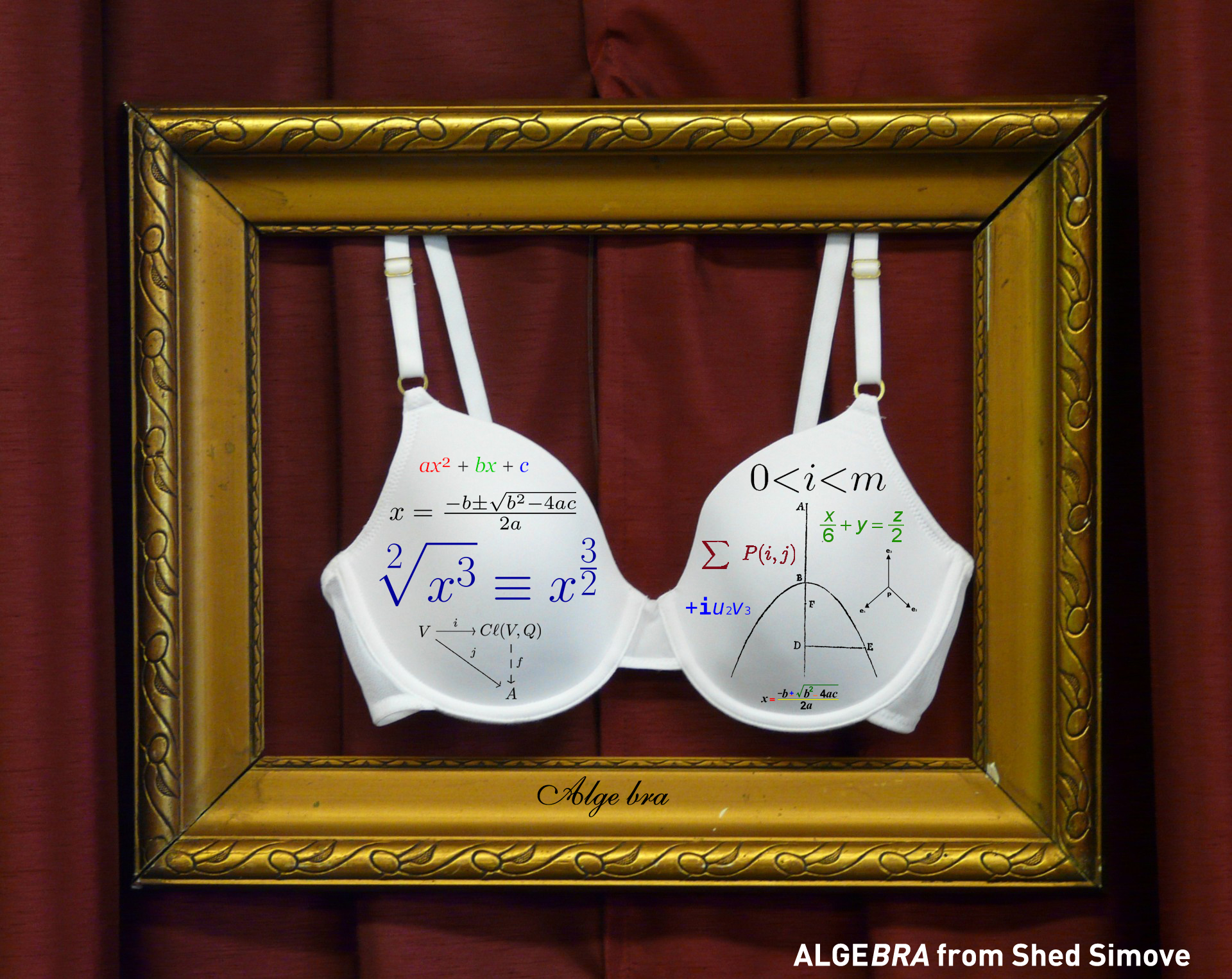 ALGE-BRA | shedsimove.com